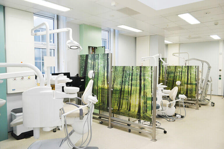 Facial Surgery and Orthodontics Unit Special Appeal at the Royal United ...